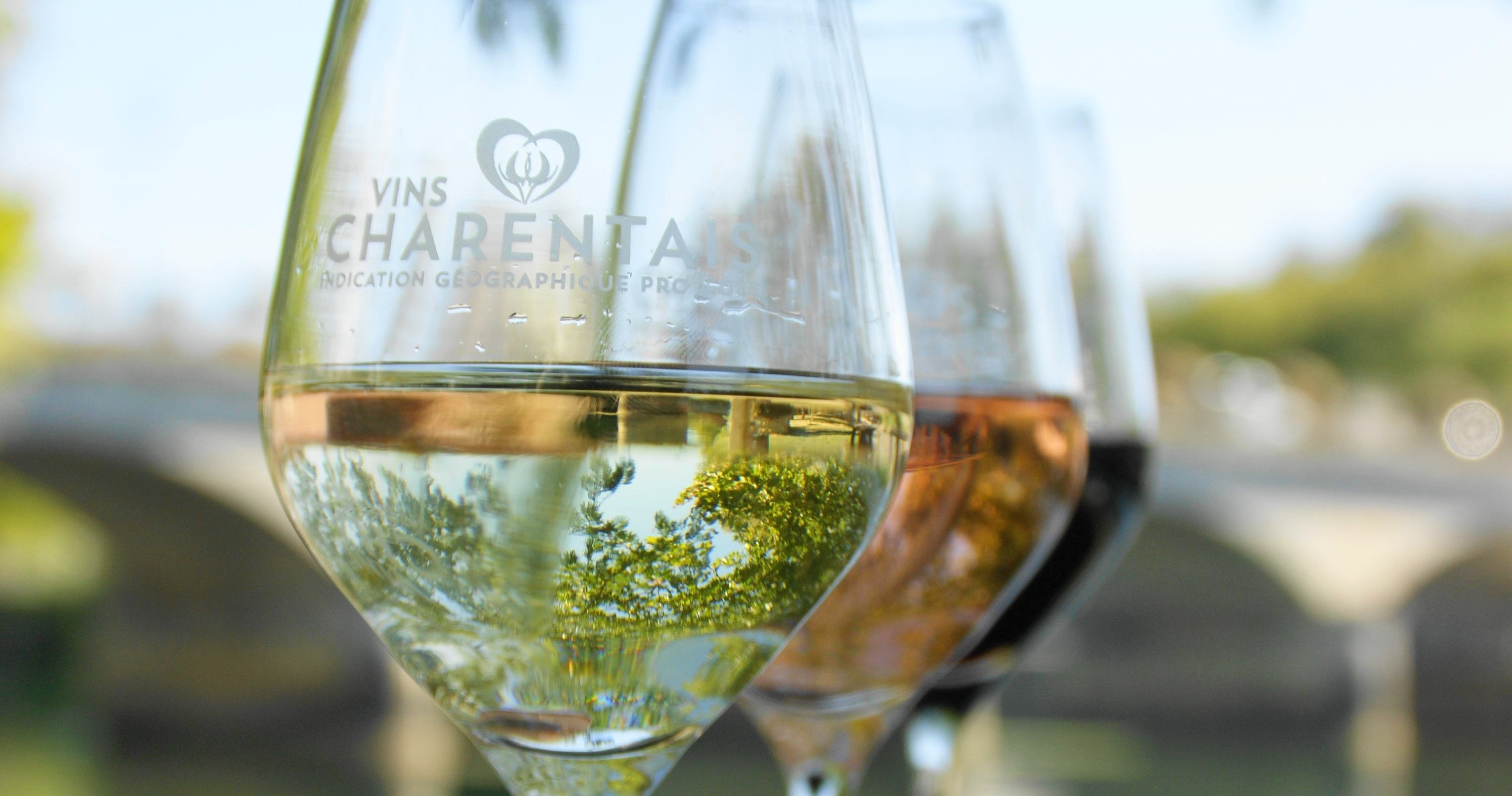 Découvrez les accords mets et vins IGP charentais